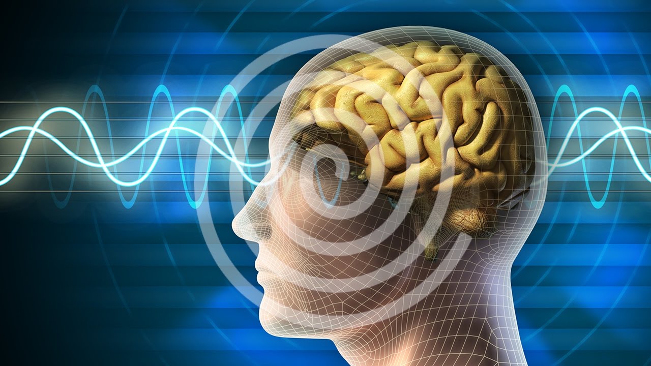 Анхаарал төвлөрүүлэх чадварыг сайжруулдаг программ бүтээжээ Mongolia Vacation